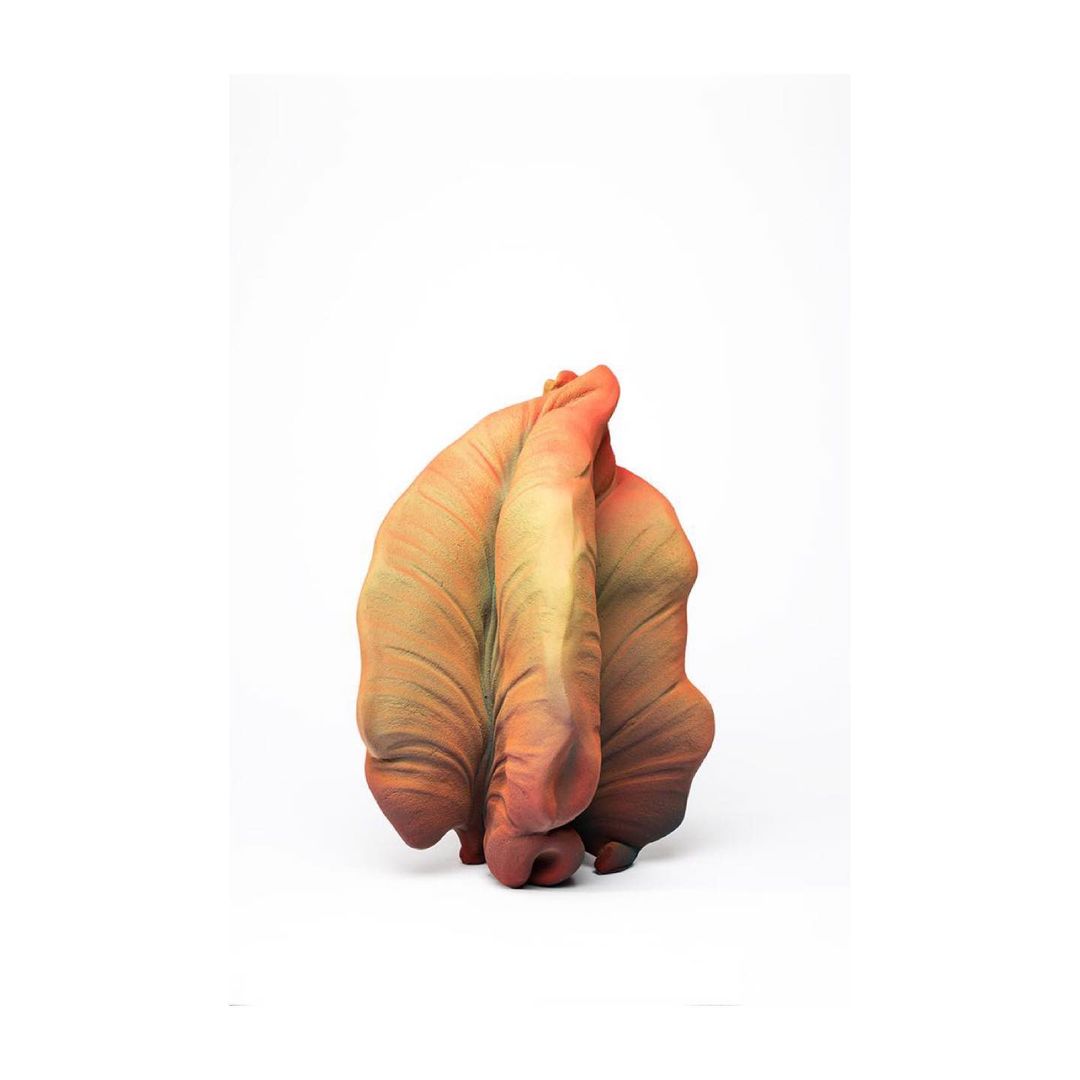 Organic Elegance: Exploring the Ceramic Art of Claire Lindner » Design ...