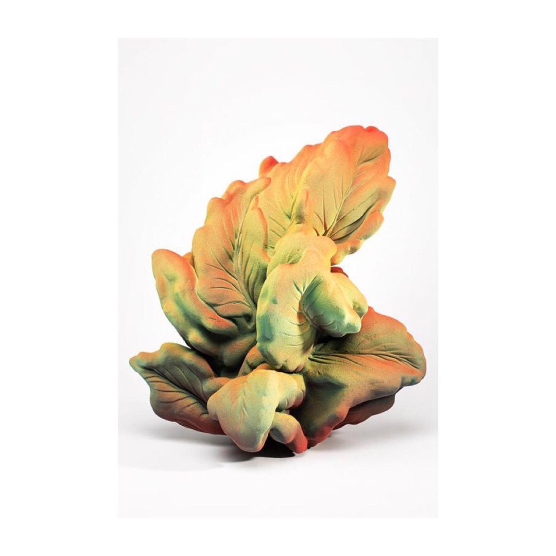 Organic Elegance: Exploring the Ceramic Art of Claire Lindner » Design ...