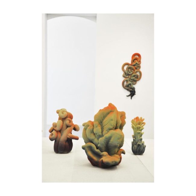 Organic Elegance: Exploring the Ceramic Art of Claire Lindner » Design ...