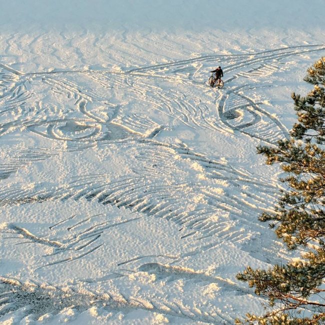 Frozen Masterpieces: Pasi Widgren’s Magical Animal Art on Lake ...