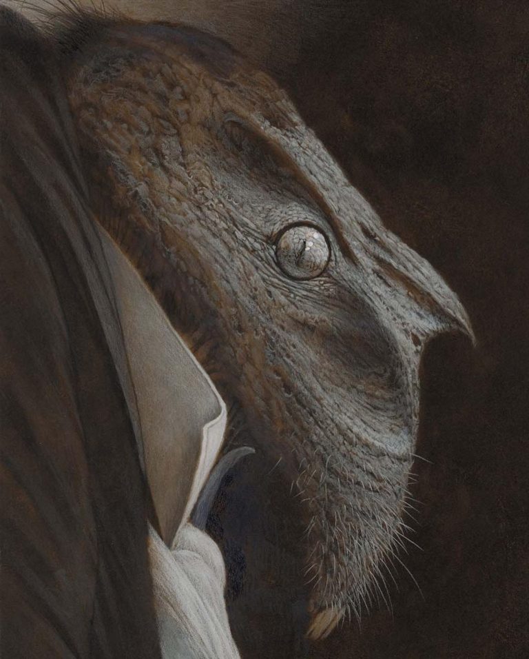 Beautiful Bizarre: The Superb Fantasy and Horror Portraits by Ed ...