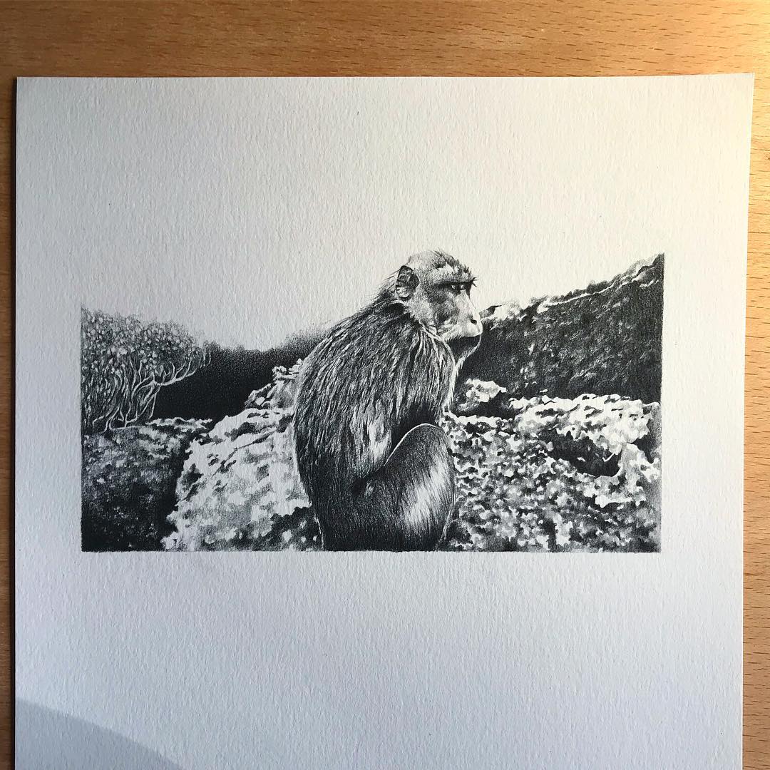 A Journey into the Intricate Ink World of Tim Marr » Design You Trust ...