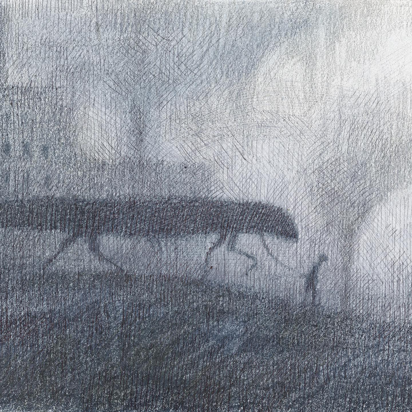 Unveiling the Artistic Enigma of Shaun Tan’s Captivating World » Design ...
