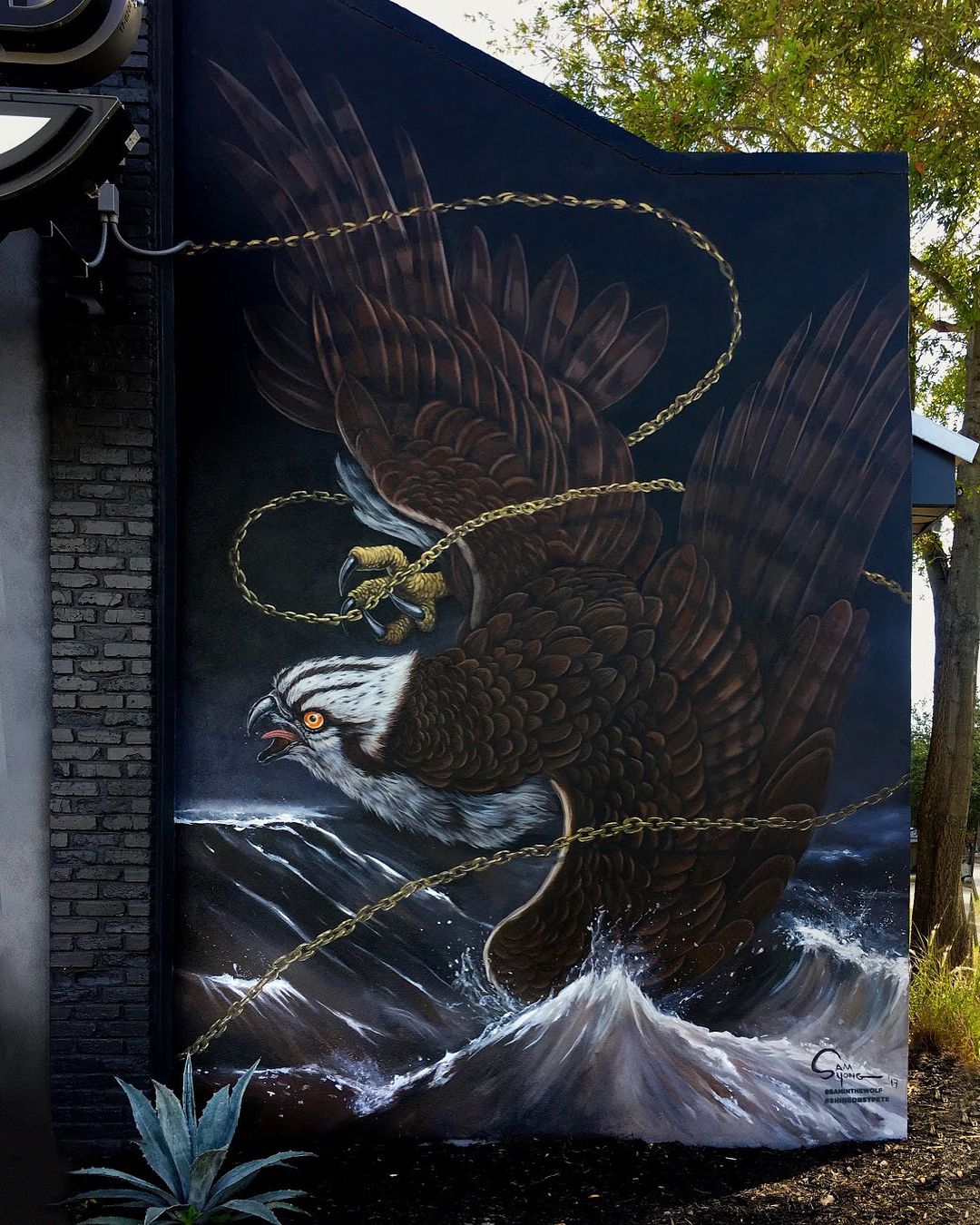 Nature’s Muse: Delving into the Intricate Illustrations of Sam Yong ...