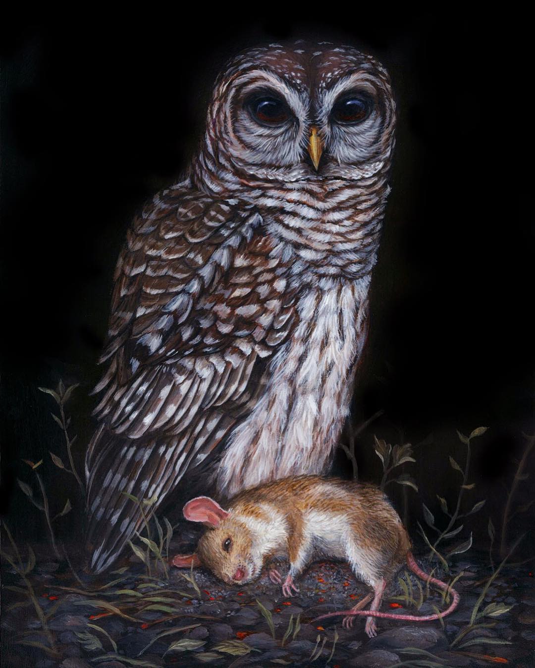 Nature’s Muse: Delving into the Intricate Illustrations of Sam Yong ...