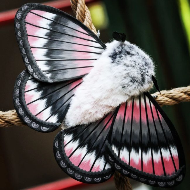 Artist Makes Tiny Fantasy Moth Dolls That Are Completely Handmade ...