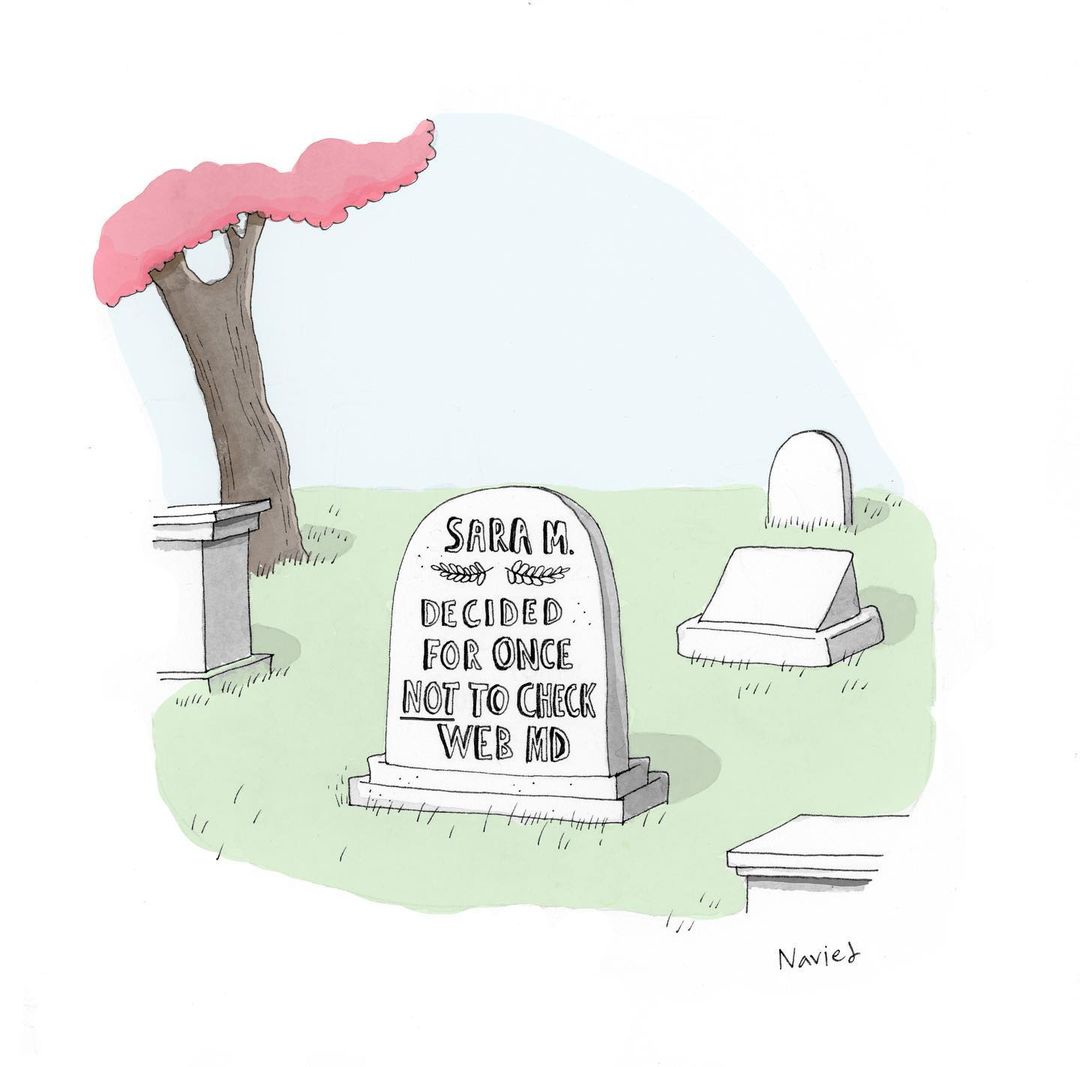 The Super Funny Single-Panel Comics by Navied Mahdavian » Design You ...