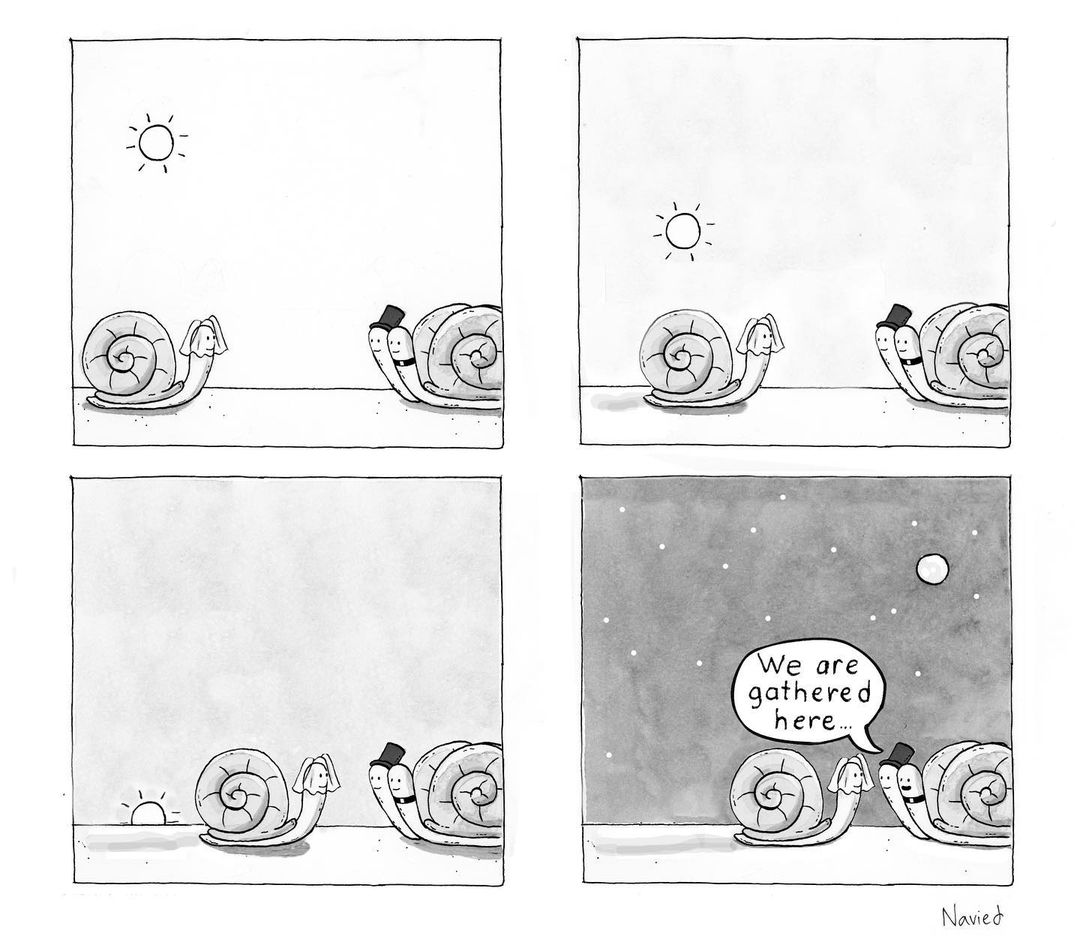 The Super Funny Single-Panel Comics by Navied Mahdavian » Design You ...