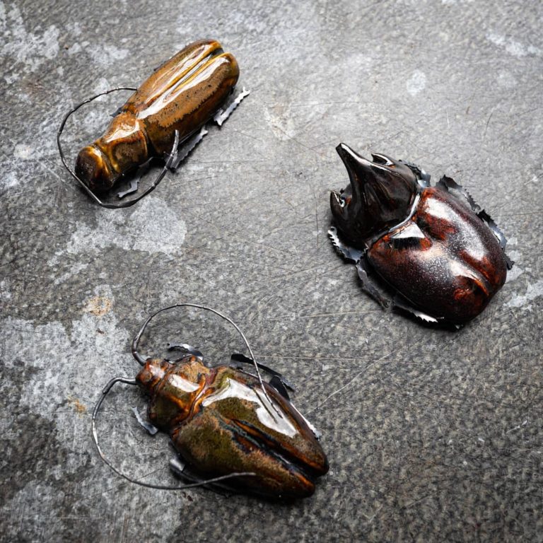 Wearable Insects by Samantha Dennis » Design You Trust — Design Daily ...