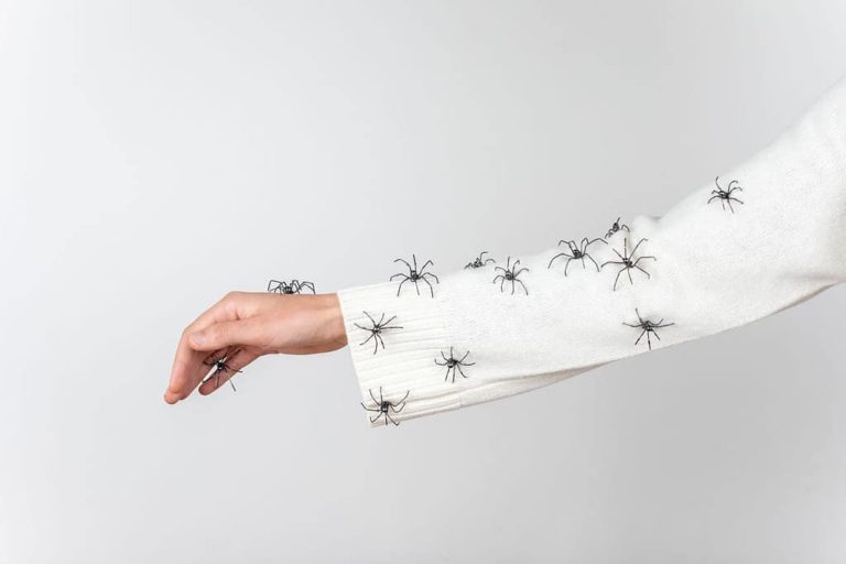 Wearable Insects by Samantha Dennis » Design You Trust — Design Daily ...