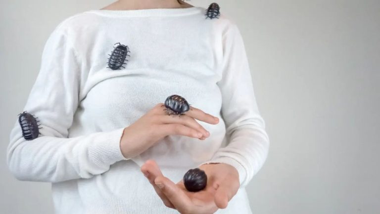 Wearable Insects by Samantha Dennis » Design You Trust — Design Daily ...
