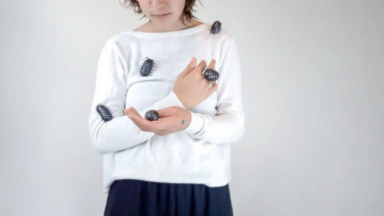 Wearable Insects by Samantha Dennis » Design You Trust — Design Daily ...