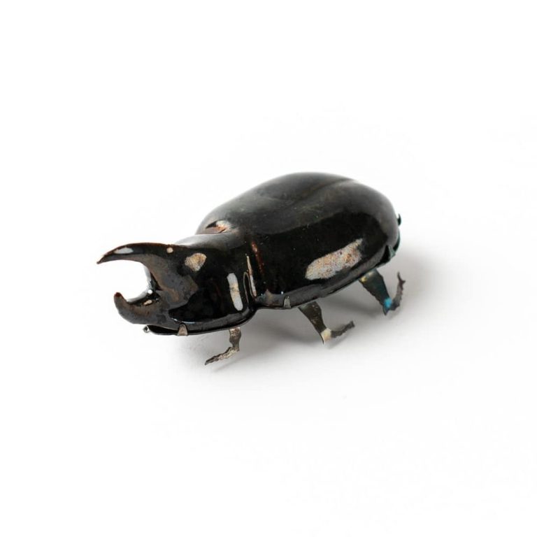 Wearable Insects by Samantha Dennis » Design You Trust — Design Daily ...