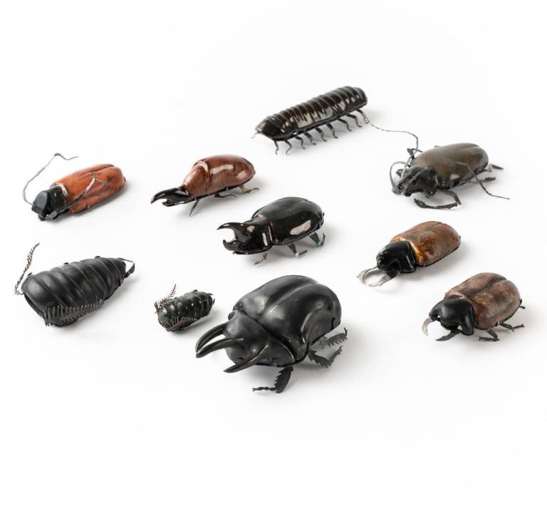 Wearable Insects by Samantha Dennis » Design You Trust — Design Daily ...