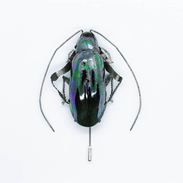 Wearable Insects by Samantha Dennis » Design You Trust — Design Daily ...