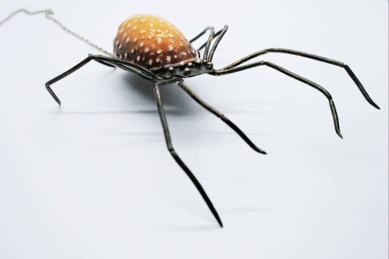 Wearable Insects by Samantha Dennis » Design You Trust — Design Daily ...
