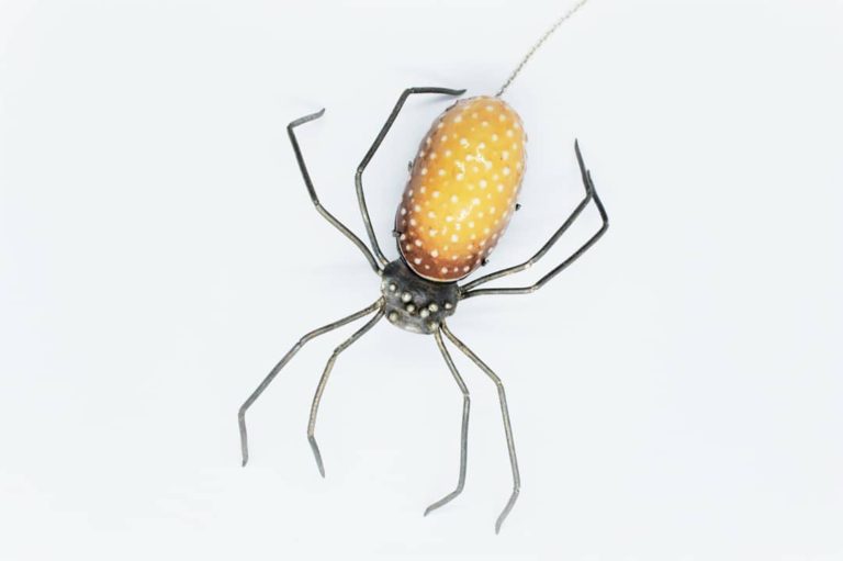 Wearable Insects by Samantha Dennis » Design You Trust — Design Daily ...