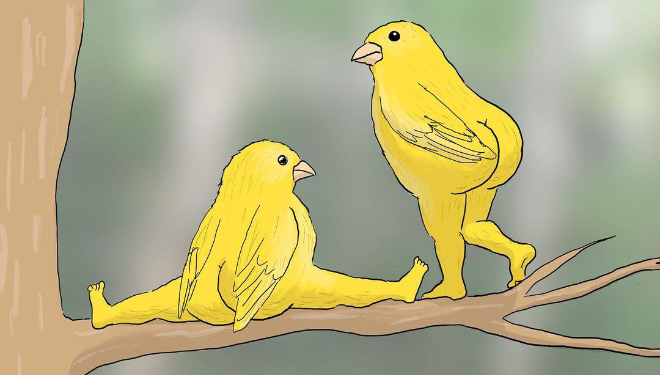 Finally, 2024 Calendar of Extremely Accurate Birds Is Here! » Design ...