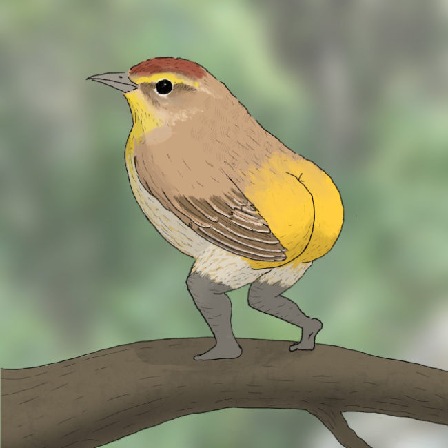 Finally, 2024 Calendar of Extremely Accurate Birds Is Here! » Design ...