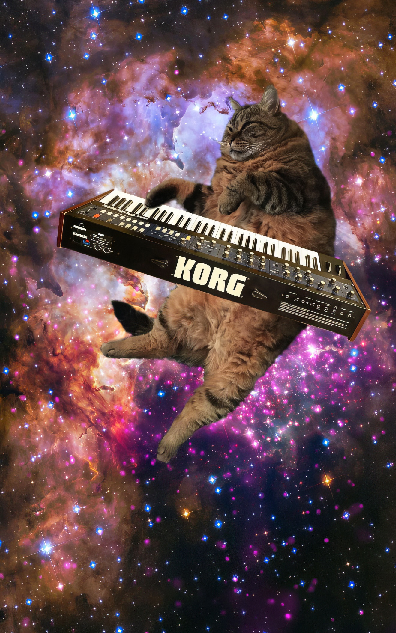 Totally Pointless Gallery of The Cats ‘Performing’ On Synthesizers In ...