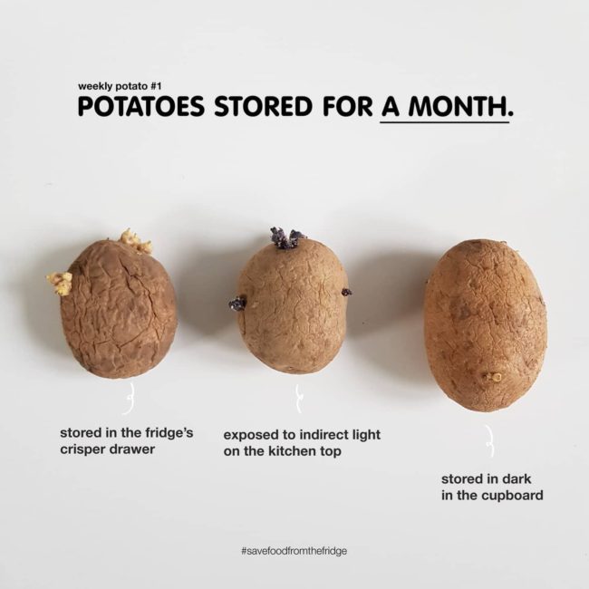 Save Food From The Frigde: A Design Approach to Food Preservation ...