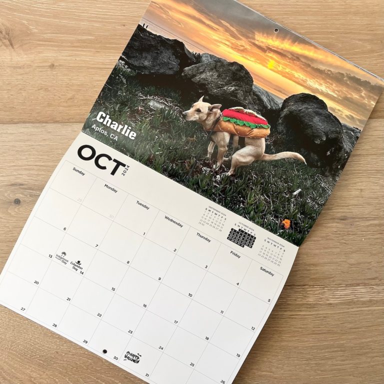 Finally, The 2024 Pooping Pooches Calendar Is Here! » Design You Trust ...