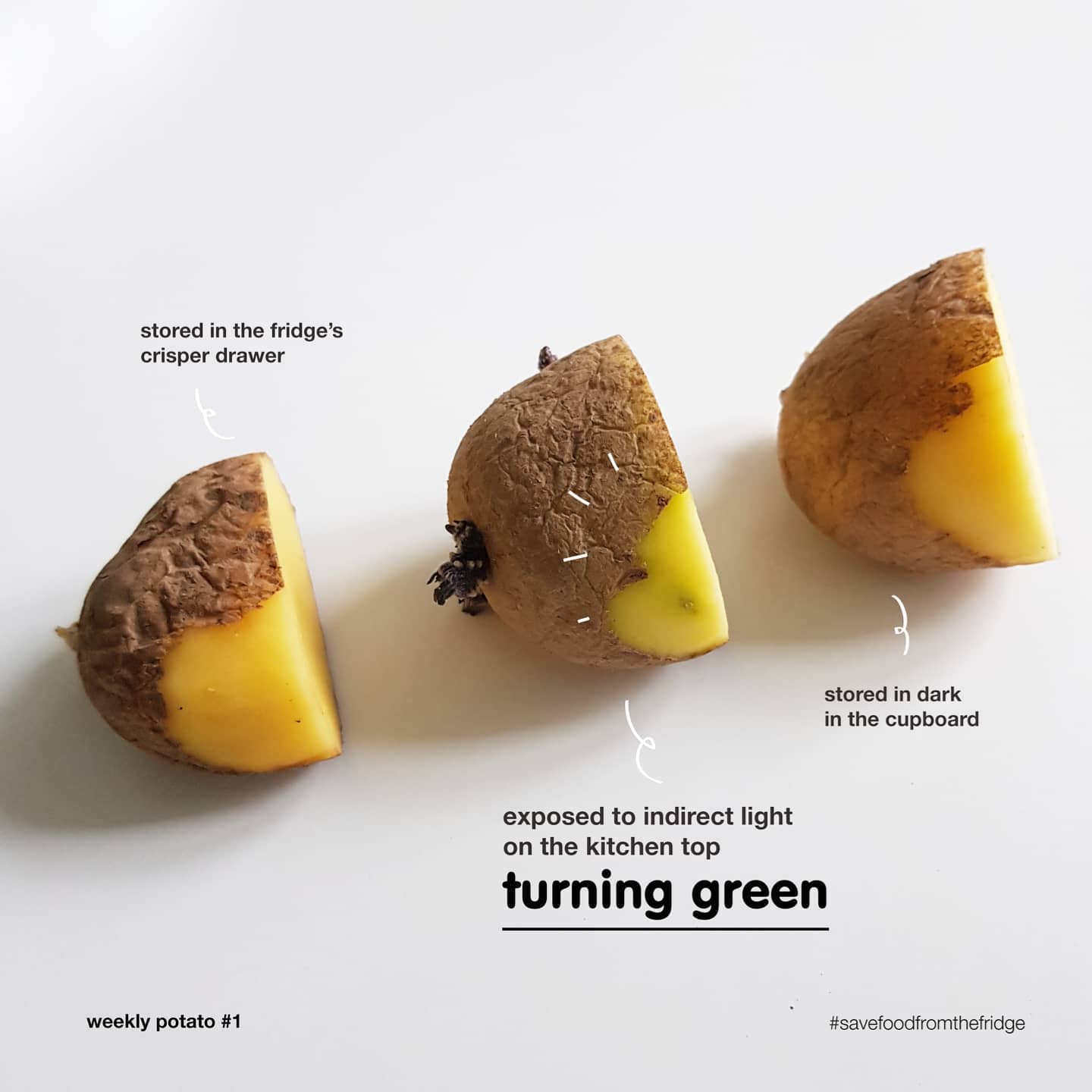 Save Food From The Frigde: A Design Approach to Food Preservation ...