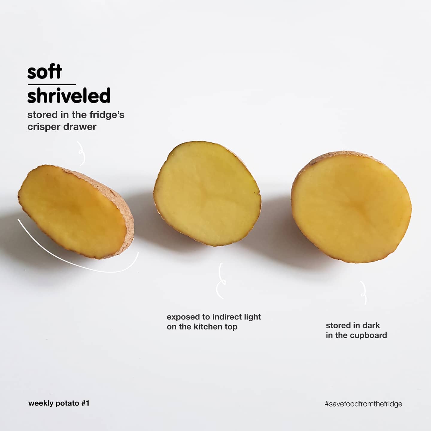 Save Food From The Frigde: A Design Approach to Food Preservation ...