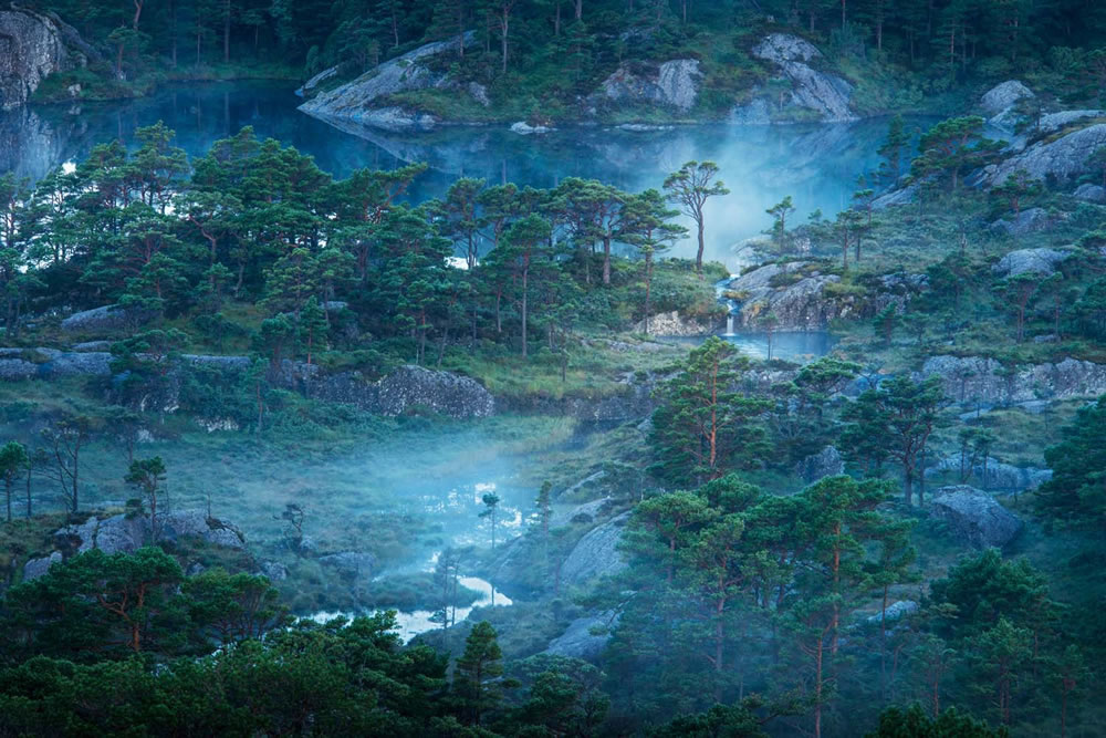 Spectacular Winning Photos Of The European Wildlife Photographer of the ...