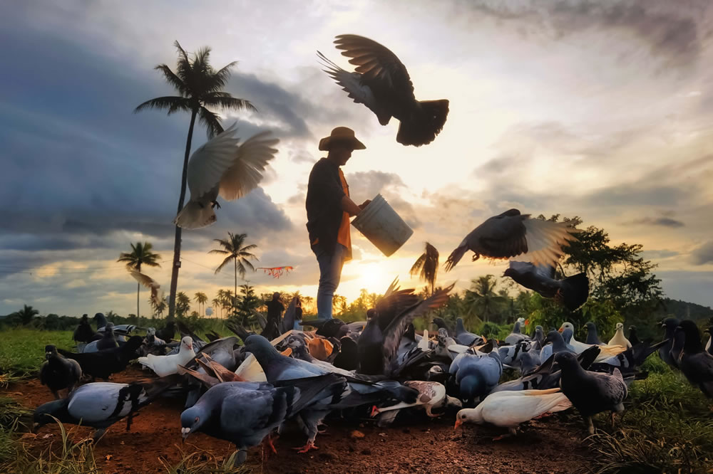 Spectacular Winning Images Of The HONOR Magic Moments Mobile ...