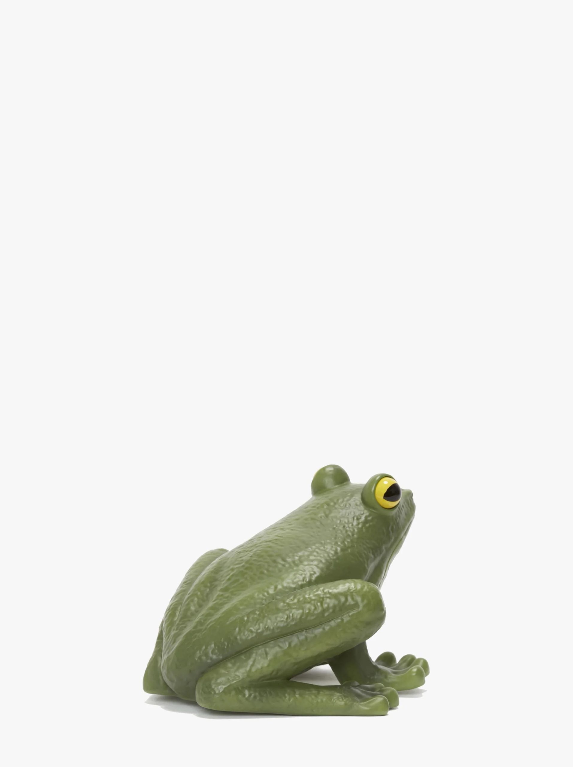 Unleash Your Inner Frog Princess with JW Anderson’s Froggy Clutch ...