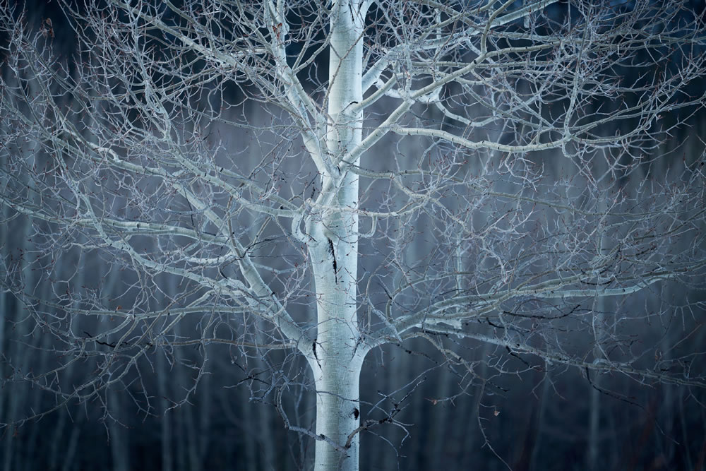 Spectacular Winning Photos Of The Natural Landscape Photography Awards ...