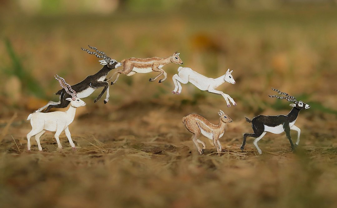 Nayan Shrimali’s Collection of Artworks Depicts the Beauty of Rare ...