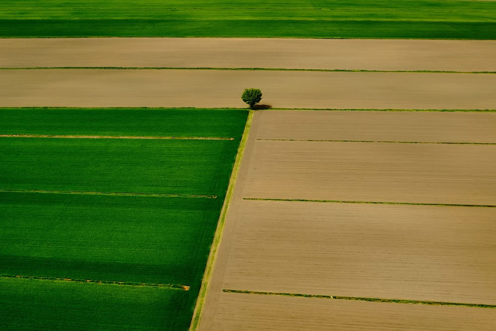 Spectacular Aerial Winning Photos Of The Minimalist Photography Awards ...