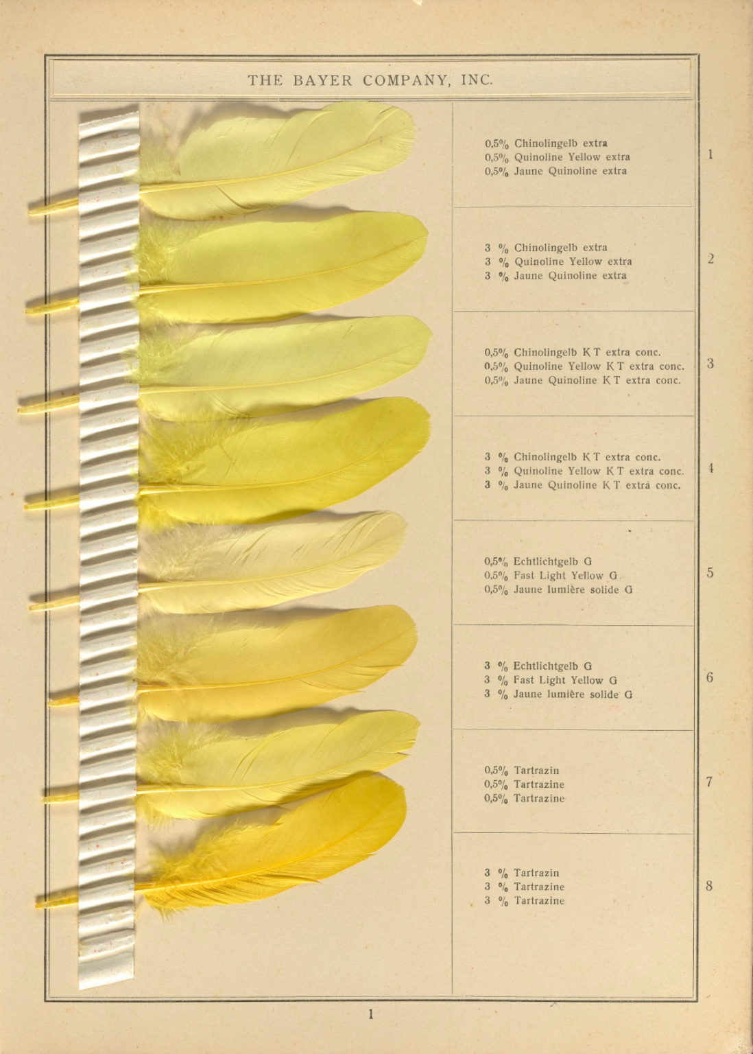 Shades on Feathers: An Old Book of Color Shades Depicted With Feathers ...