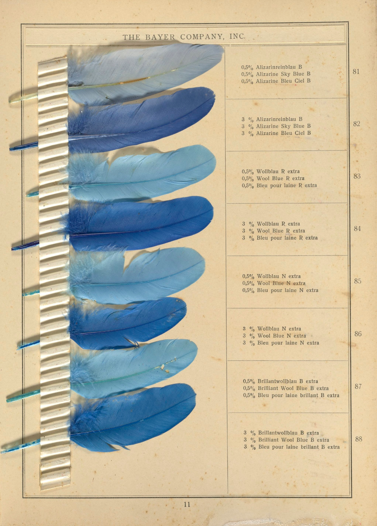 Shades on Feathers: An Old Book of Color Shades Depicted With Feathers ...