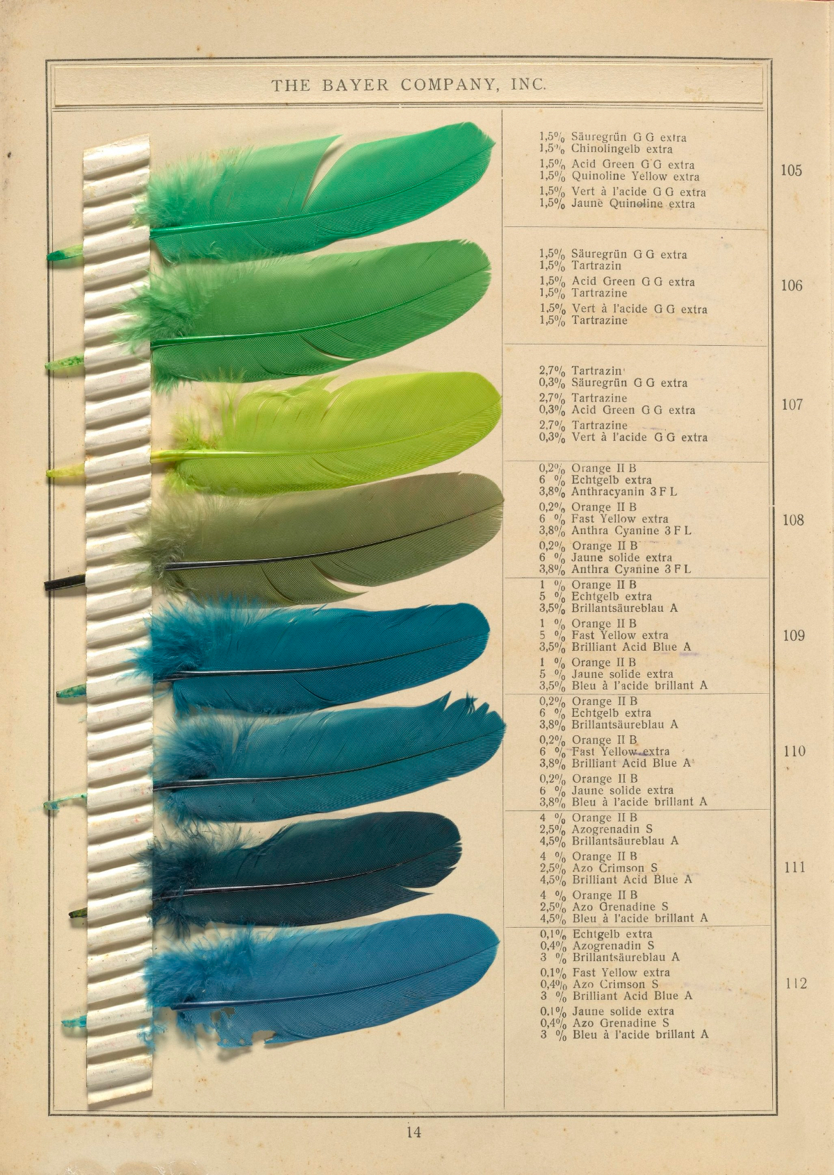 Shades on Feathers: An Old Book of Color Shades Depicted With Feathers ...