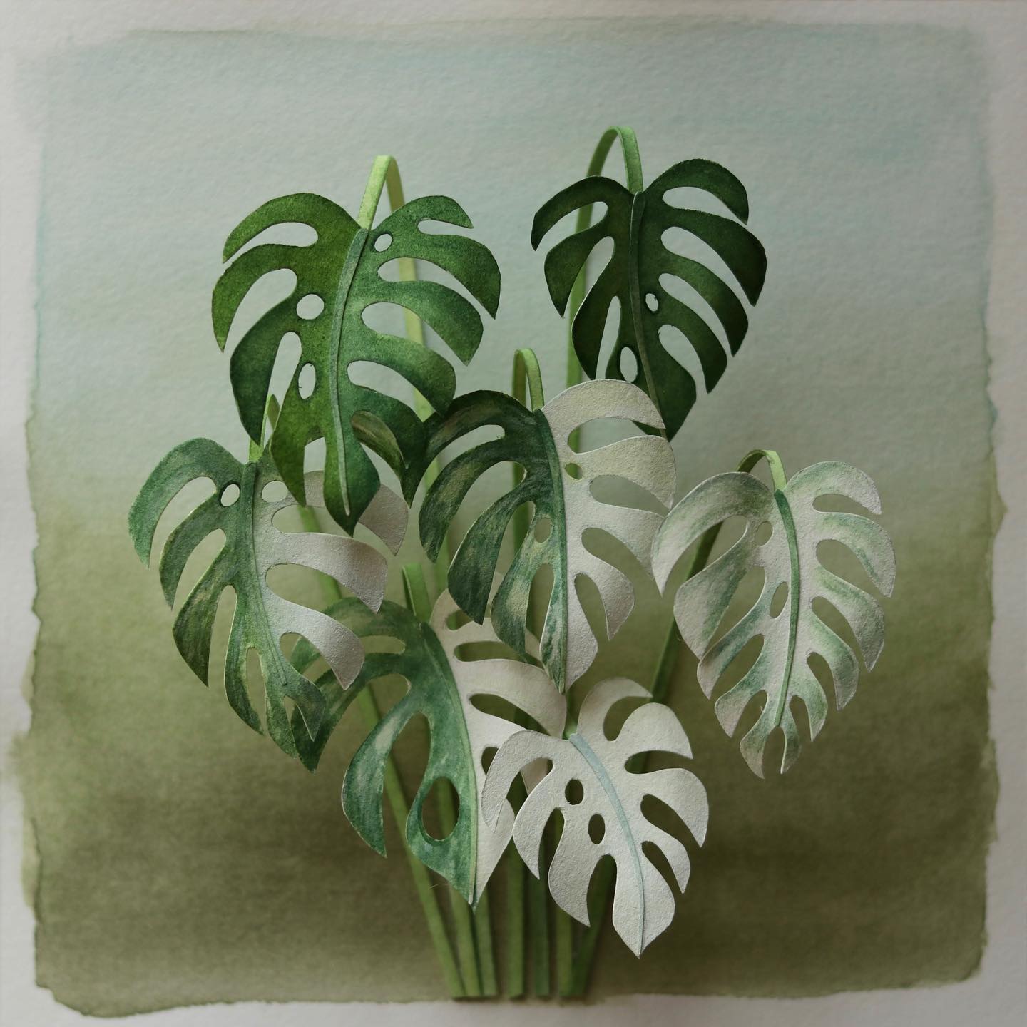 Nayan Shrimali’s Collection of Artworks Depicts the Beauty of Rare ...