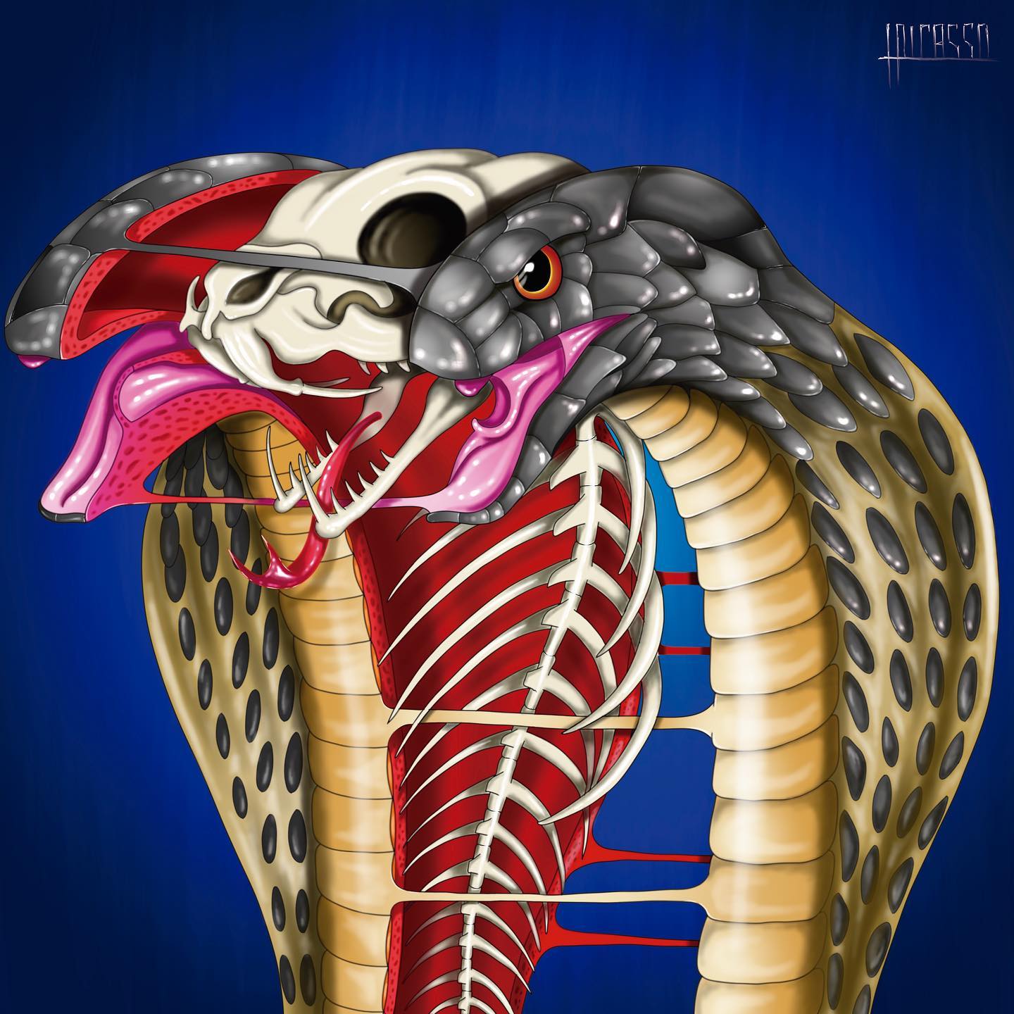 The Superb ‘Dissected’ Oil on Canvas Paintings by Luis Pedro Picasso ...