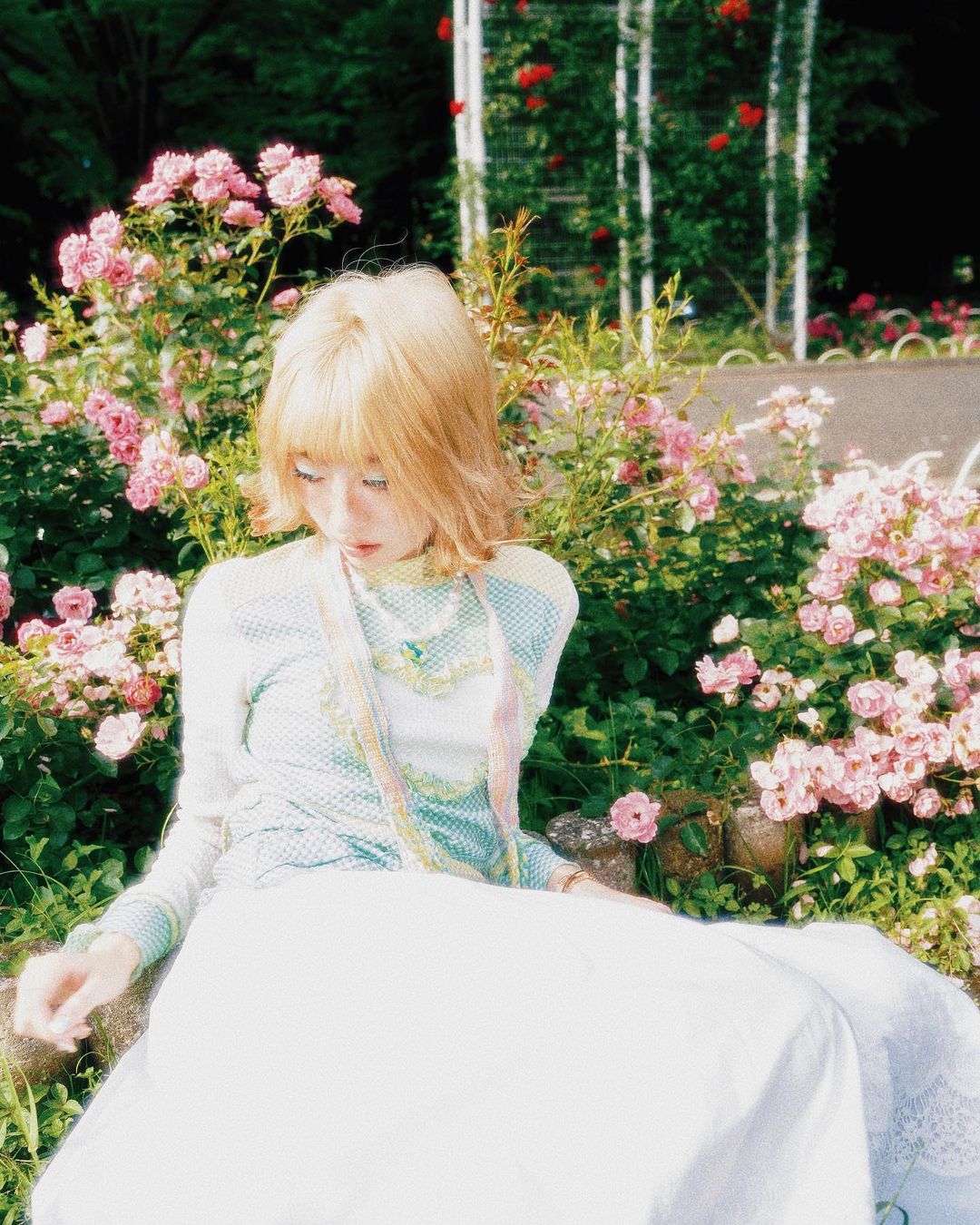 Experience Japan in the Year 2000 Through the Eyes of This Photographer ...