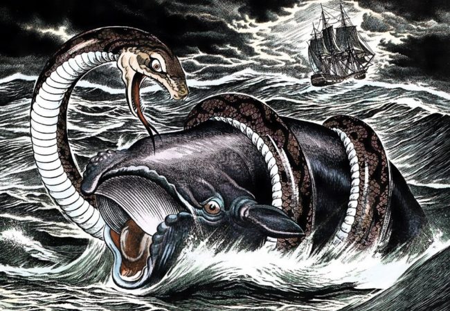 Japanese Mythological Creature Illustrations by Shigeru Mizuki » Design ...
