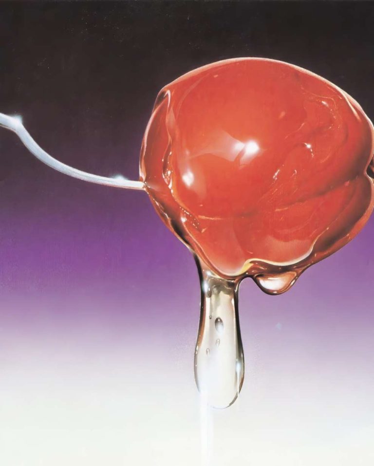 The Superb 1980s Hyper-Realistic Illustrations by Japanese Artist Masao ...