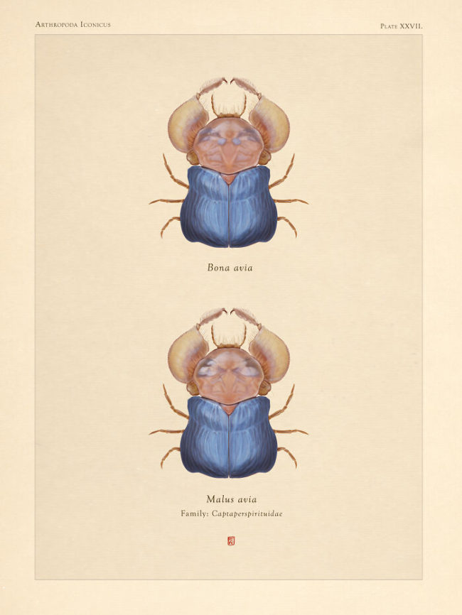 Artist Richard Wilkinson Illustrates Imaginary Insects Inspired by ...