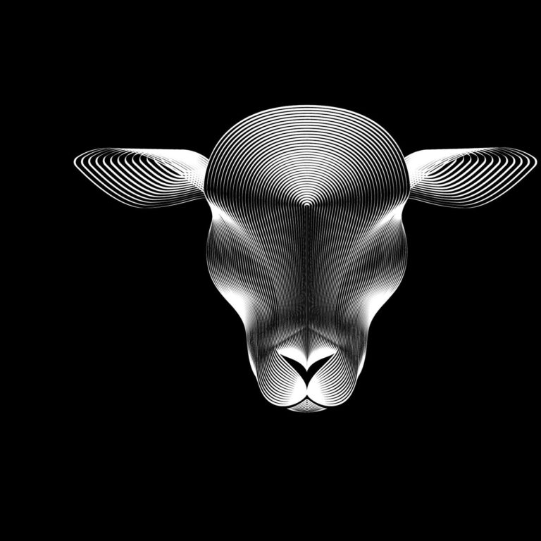 The Superb Minimalistic Lineart Illustrations by Andrea Minini » Design ...