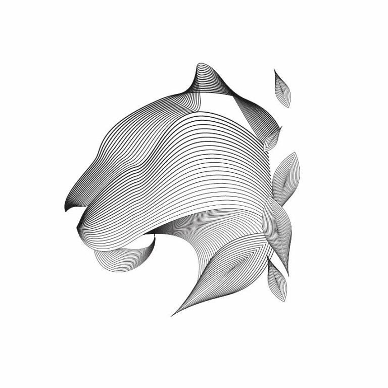 The Superb Minimalistic Lineart Illustrations by Andrea Minini » Design ...