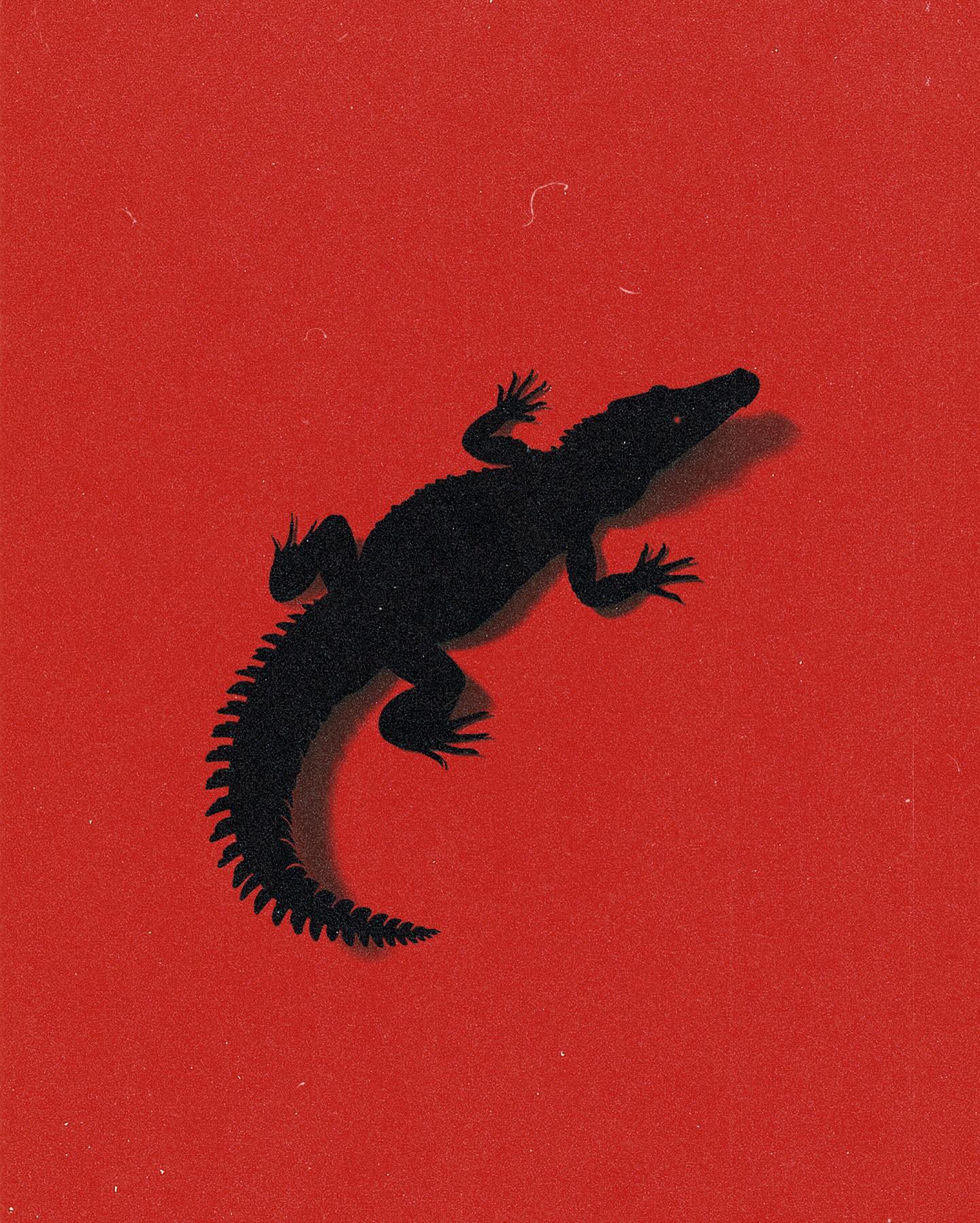 Spanish Visual Artist Creates Amazing Experimental AI Photography ...