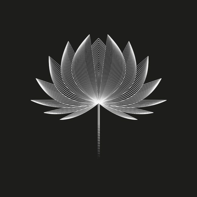 The Superb Minimalistic Lineart Illustrations by Andrea Minini » Design ...