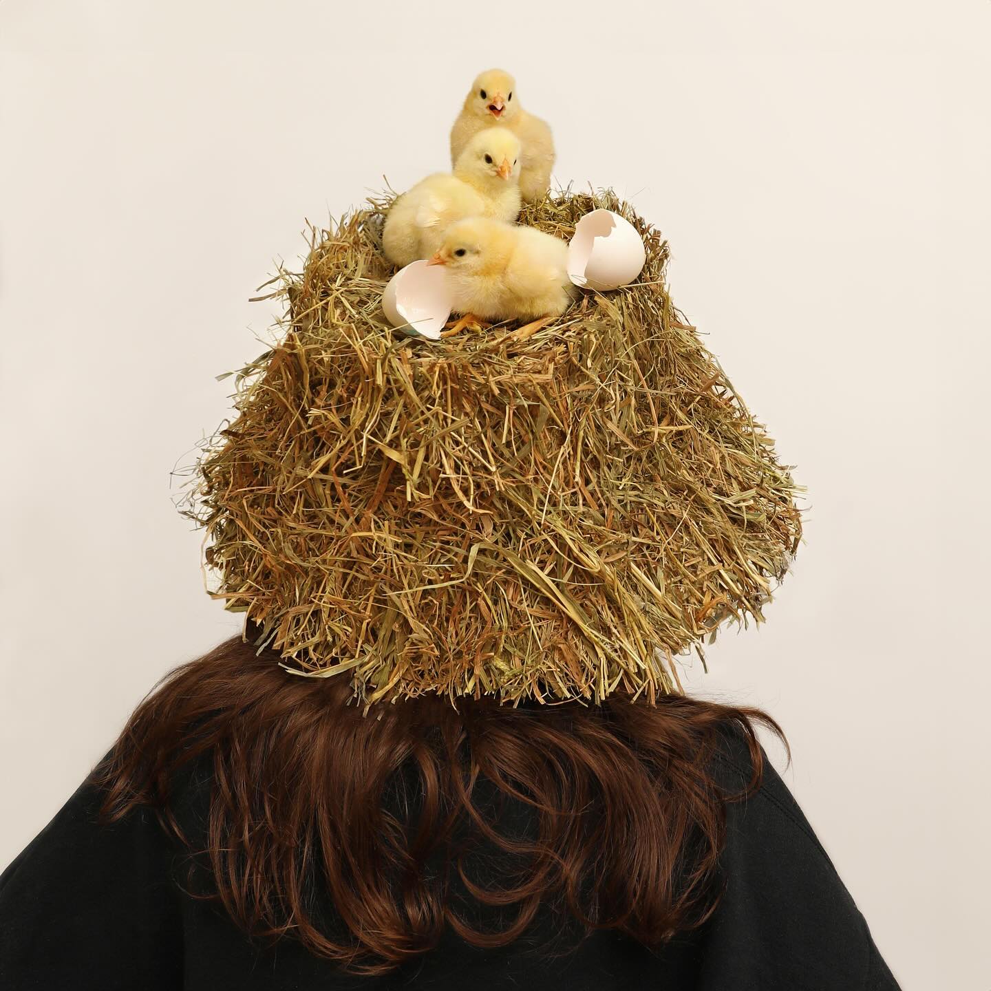 This Artist Stands as The Visionary Force Shaping the Landscape of ...