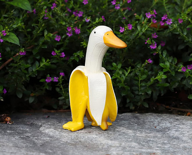 Banana Ducks: The Quirkiest Garden Gnomes You Never Knew You Needed ...