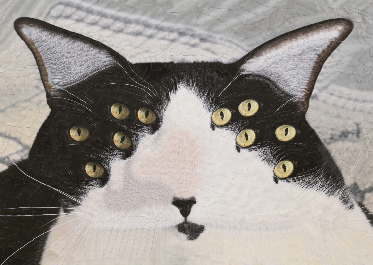Artist Lola Dupre Creates Beautiful Antropomorphic Felines » Design You ...
